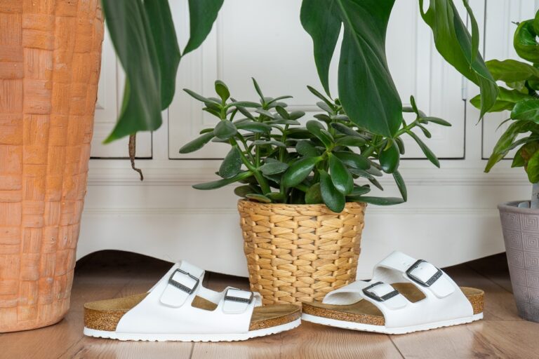 Birkenstock Arizona im Detail - Hasches Abenteuer Birkenstock Arizona im Detail - Hasches Abenteuer
